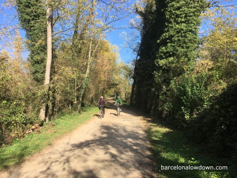 Olot: Things To See & Do In The Capital Of The Garrotxa Region ...